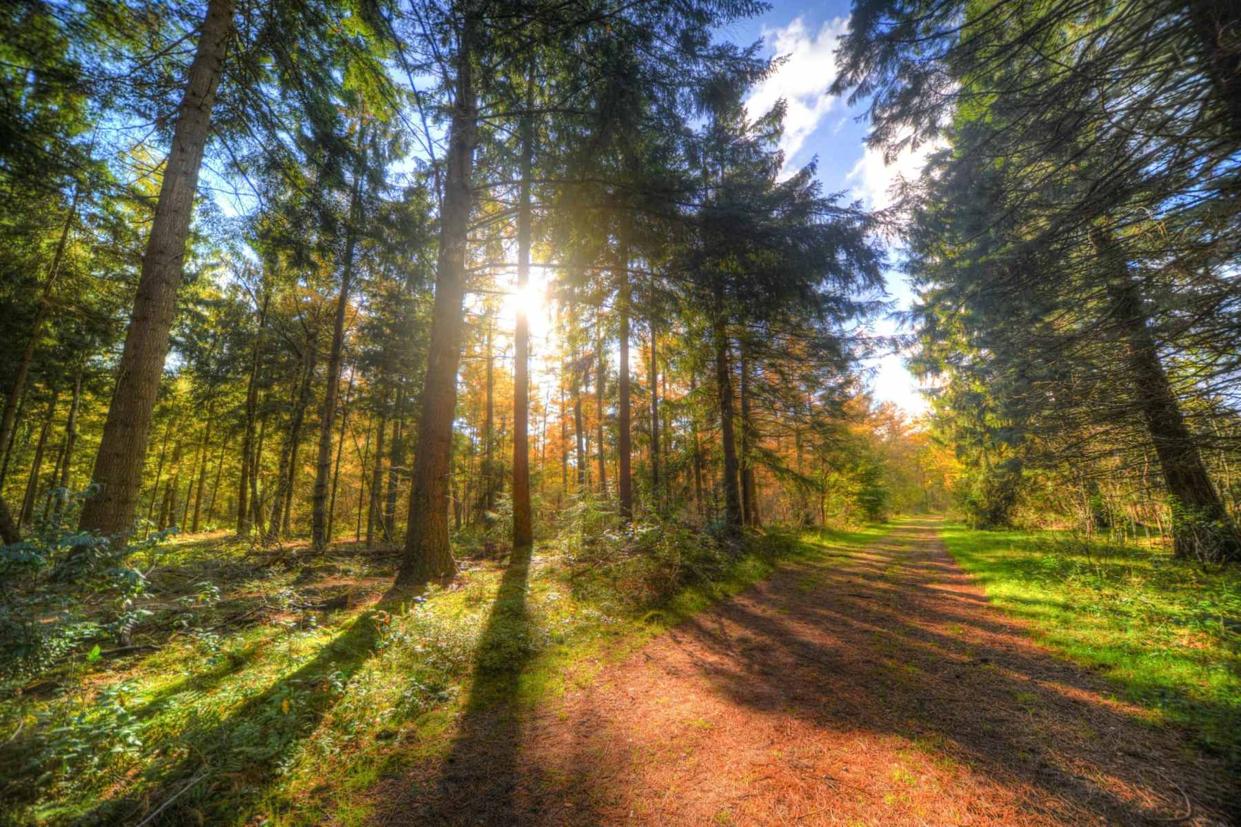 The Path of Blessing (Psalm 119:1-8) – A Good Word